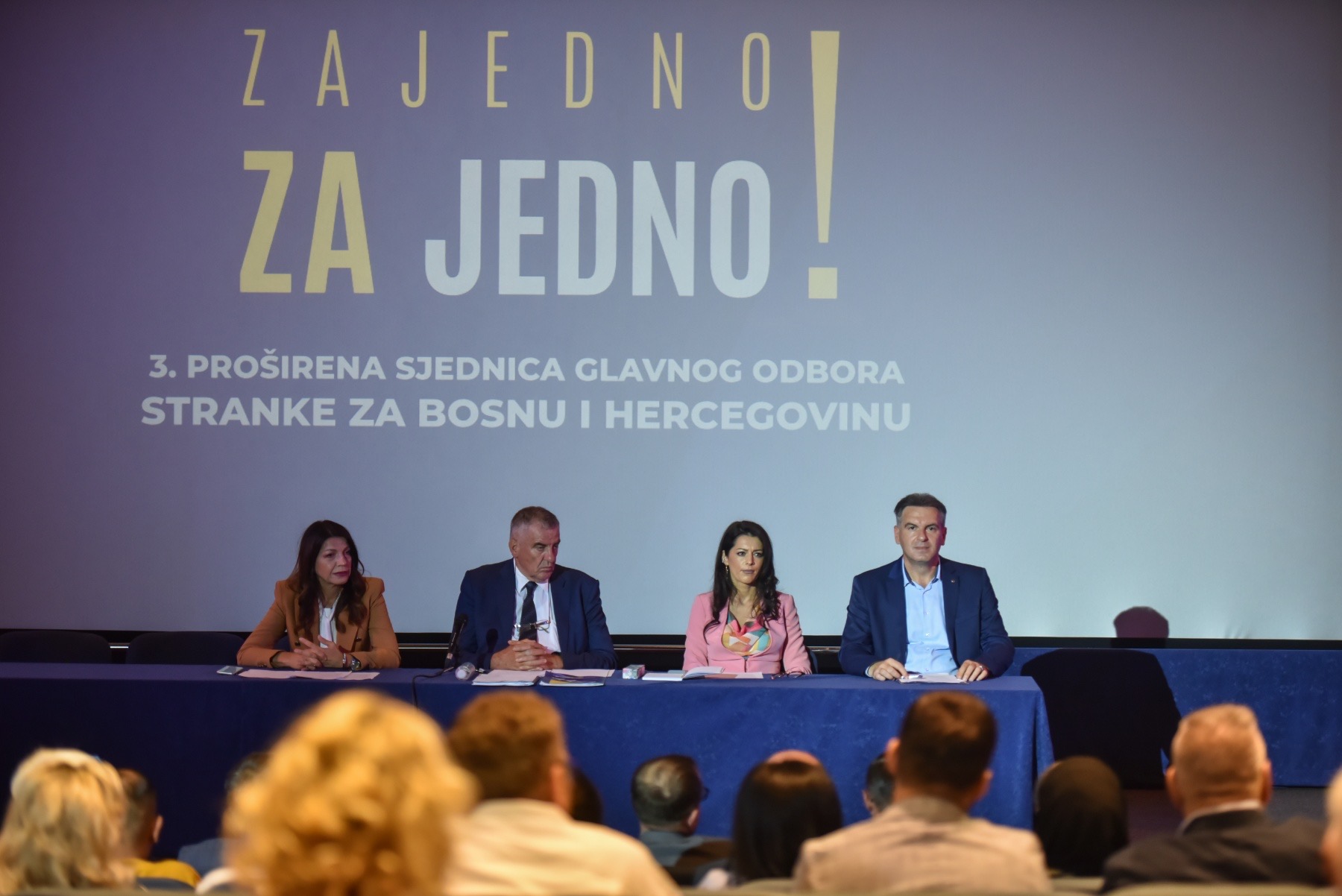 Stranka za BiH tuži i Schmidta - TIP.ba