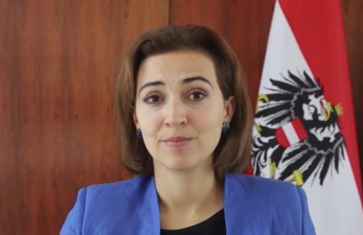 Univerzitet u Beču obustavio postupak protiv Alme Zadić - TIP.ba