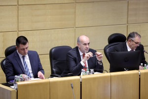 Usvojen zakon o zaštiti od nasilja u porodici i nasilja nad ženama u ...